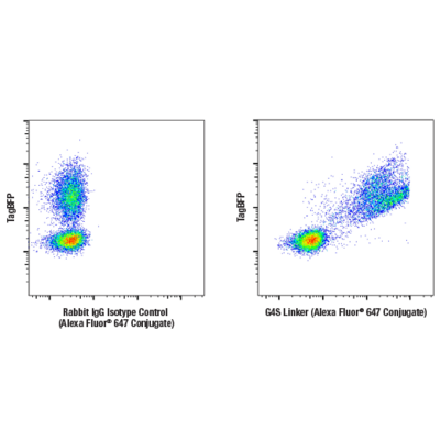 G4S Linker (E7O2V) Rabbit mAb (Alexa Fluor® 647 Conjugate)