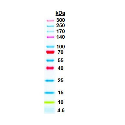 ProSieve QuadColor Protein Marker 500 μl