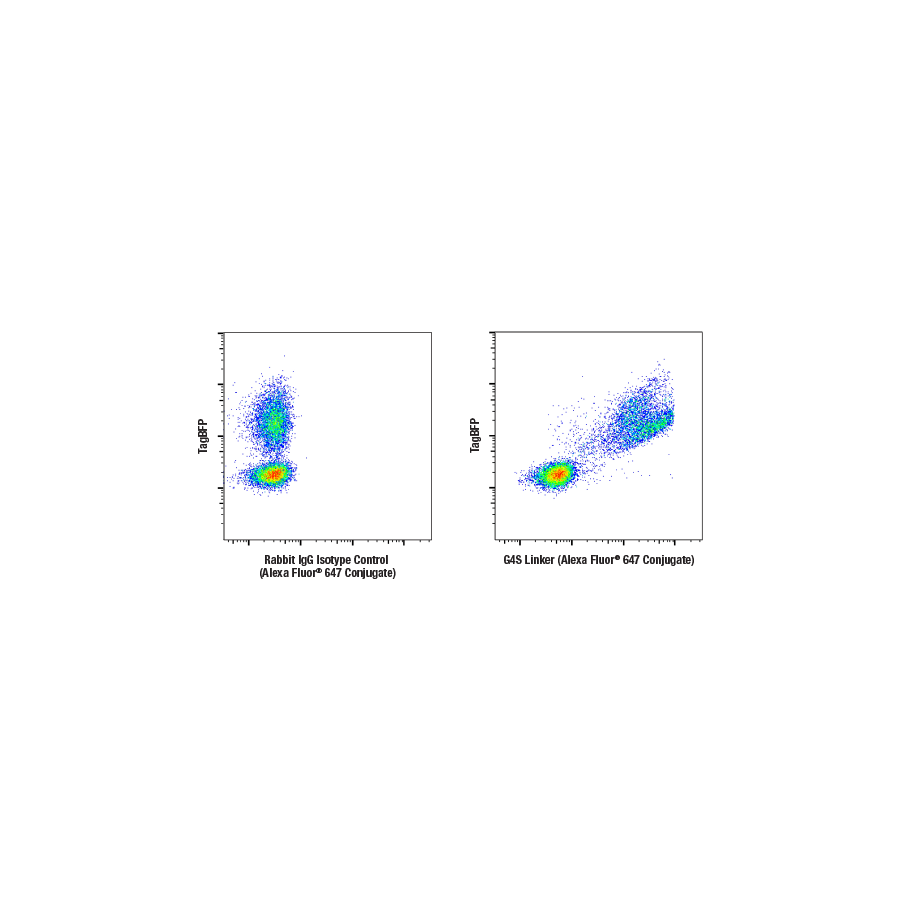 G4S Linker (E7O2V) Rabbit mAb (Alexa Fluor® 647 Conjugate)
