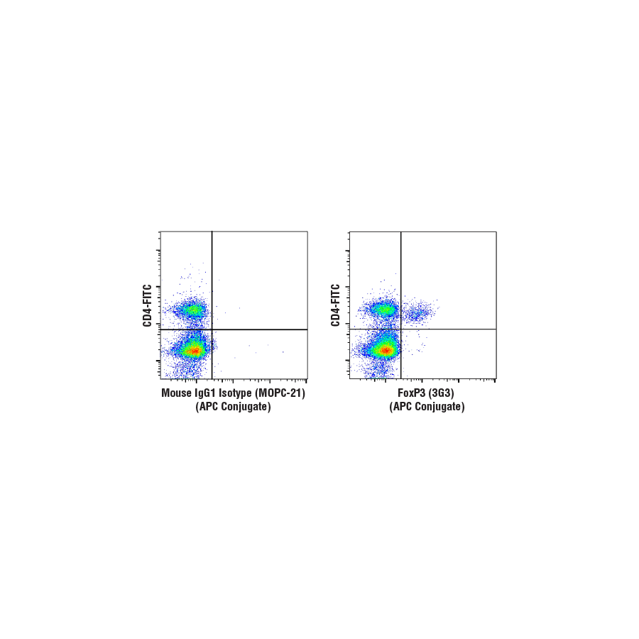 Mouse Essential T Cell Markers Flow Cytometry Panel