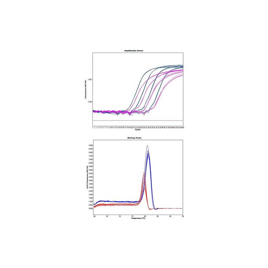 SensiFAST SYBR No-ROX One-Step Kit